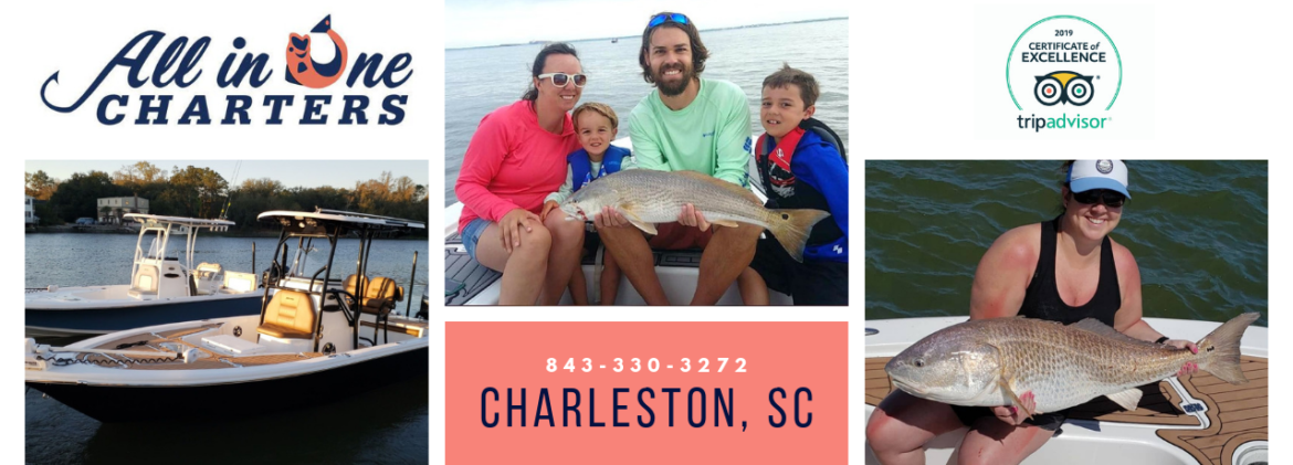 All in One Fishing Charters – Inshore Fishing Charters in Charleston, SC