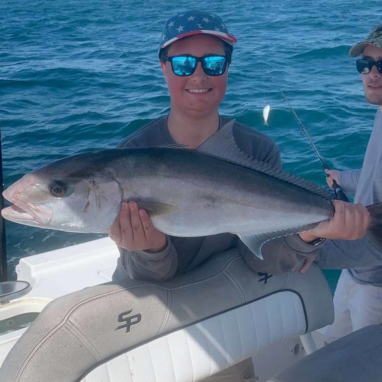 Learn All About the “Reef Donkey” Amberjack – All in One Fishing Charters